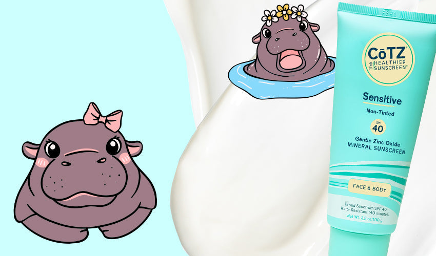 Skincare Tips Inspired by the Internet's Fav Hippo | CoTZ Skincare ...